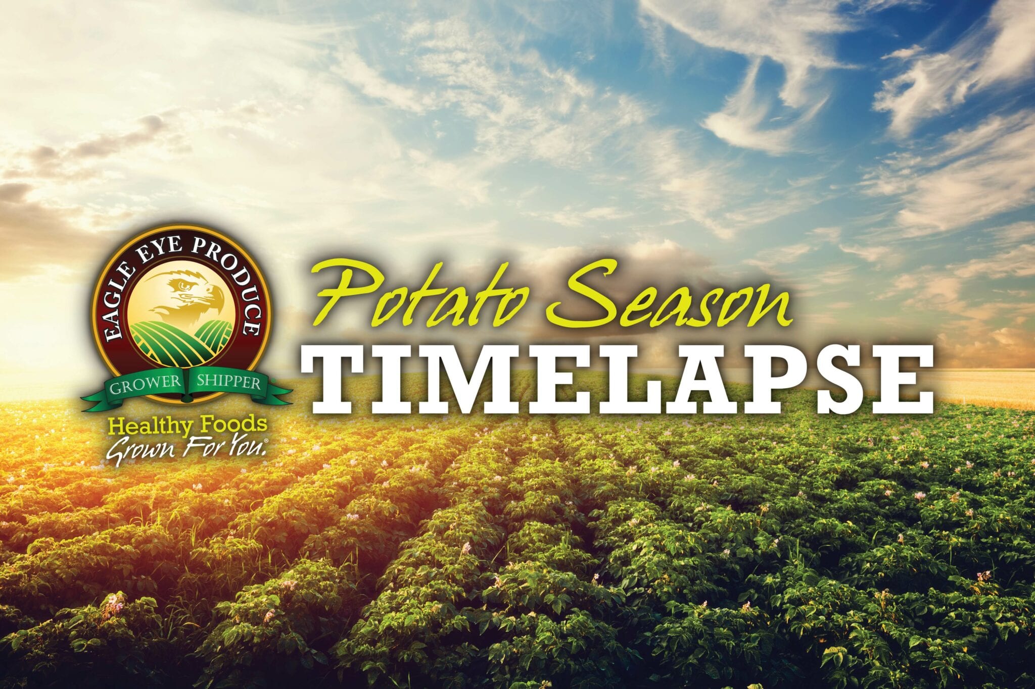 Potato Season Timelapse - Eagle Eye Produce