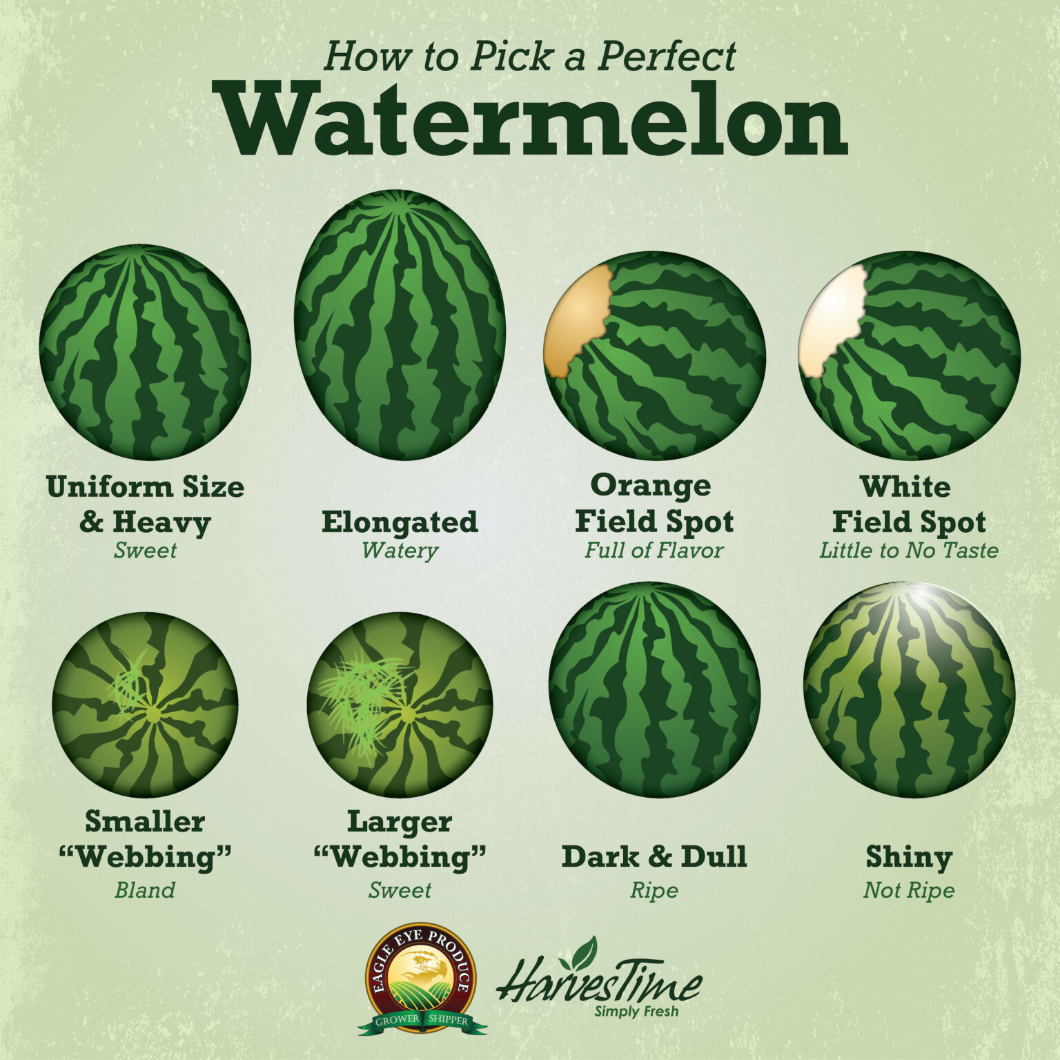 How to Pick a Perfect Watermelon - Eagle Eye Produce