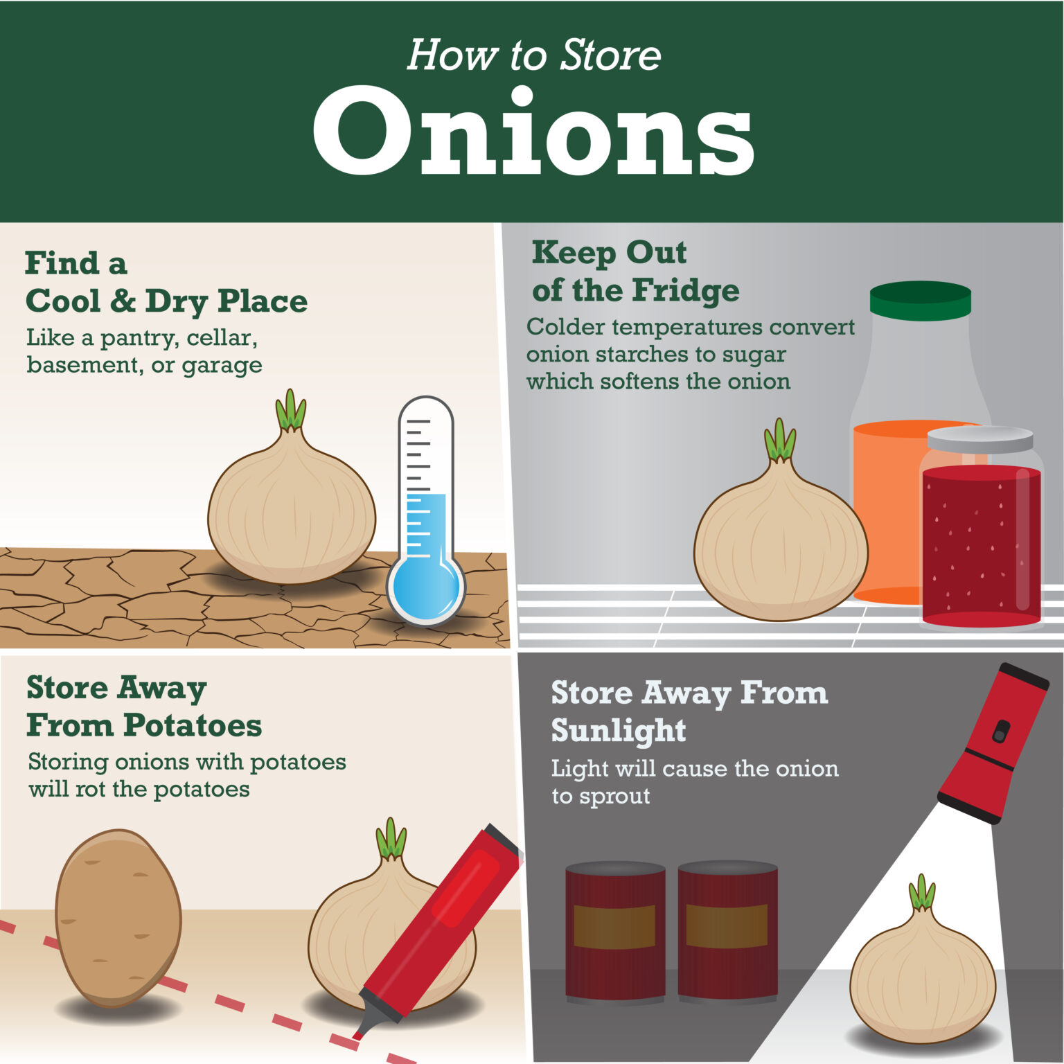 How to Store Onions - Eagle Eye Produce