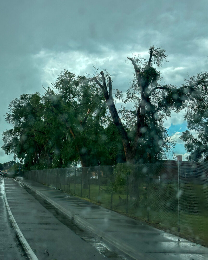 Nyssa Storm 2024 - Eagle Eye Produce