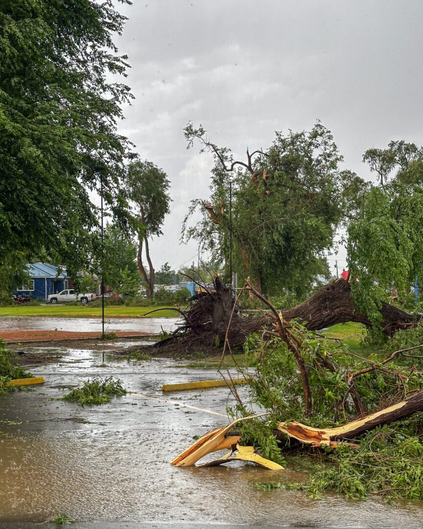 Nyssa Storm 2024 - Eagle Eye Produce