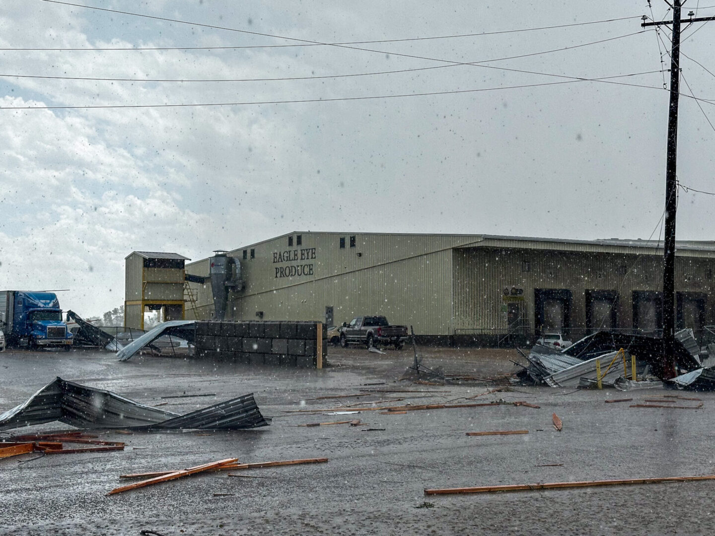 Nyssa Storm 2024 - Eagle Eye Produce