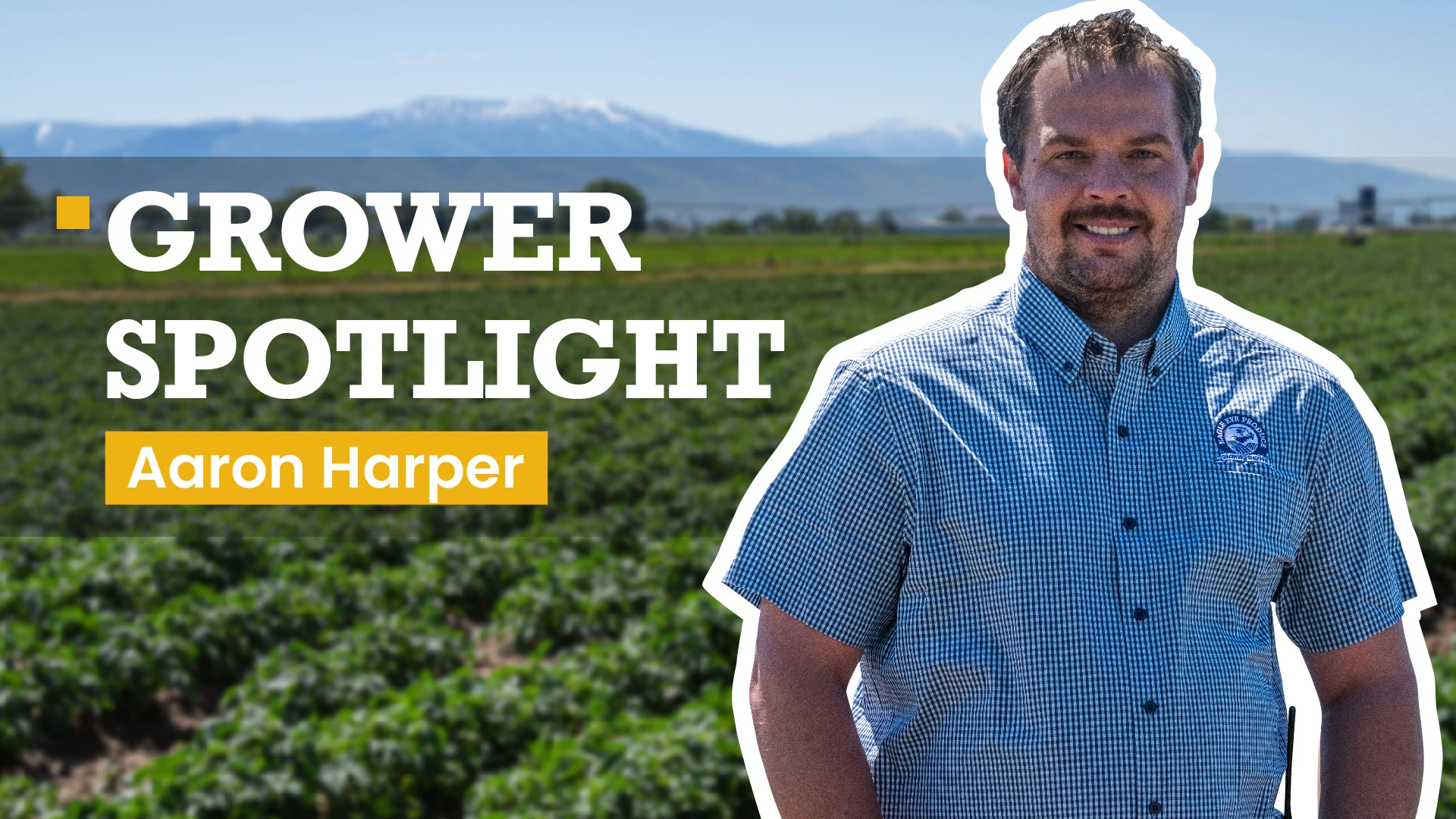 Grower Spotlight | Aaron Harper - Eagle Eye Produce