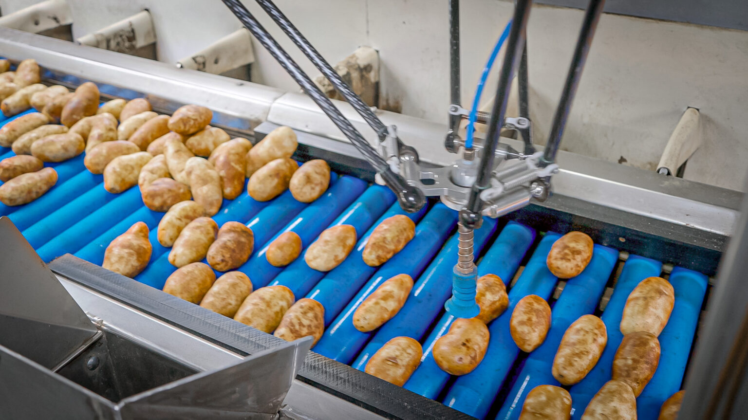 Eagle Eye Rolls Out AI-Powered Potato Sorting Systems - Eagle Eye Produce